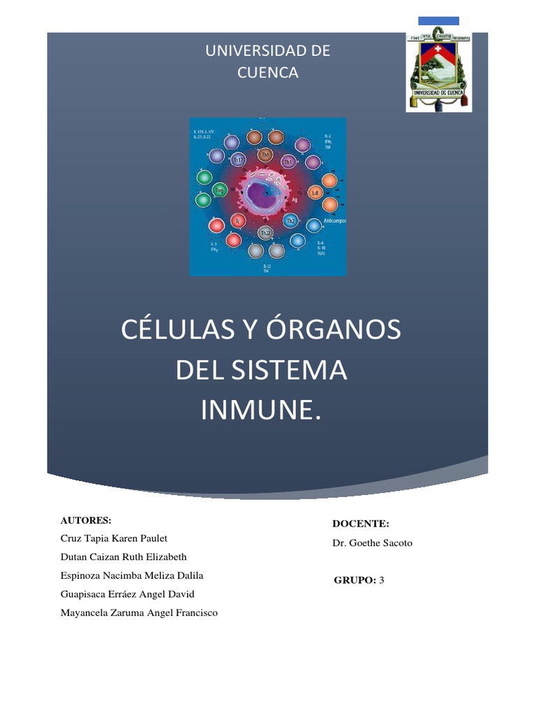 G3s2imuno Células y Órganos Del Sistema Inmune | PDF | Linfocitos | Ganglio linfático