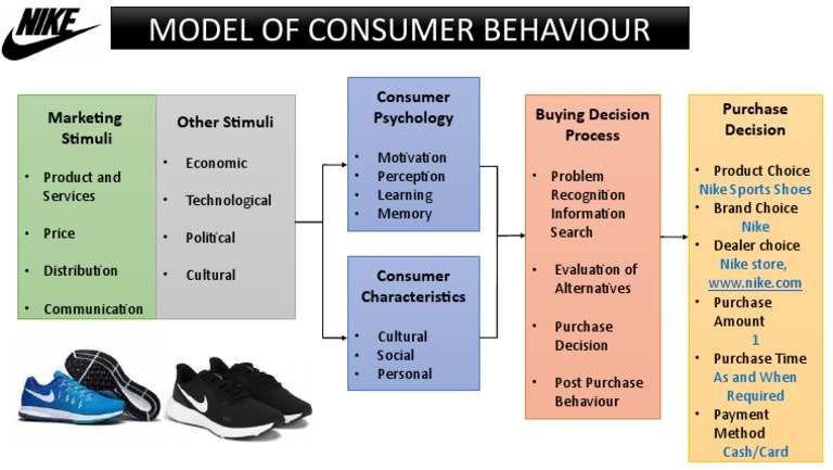 NIKE Model of Consumer Behaviour | PDF