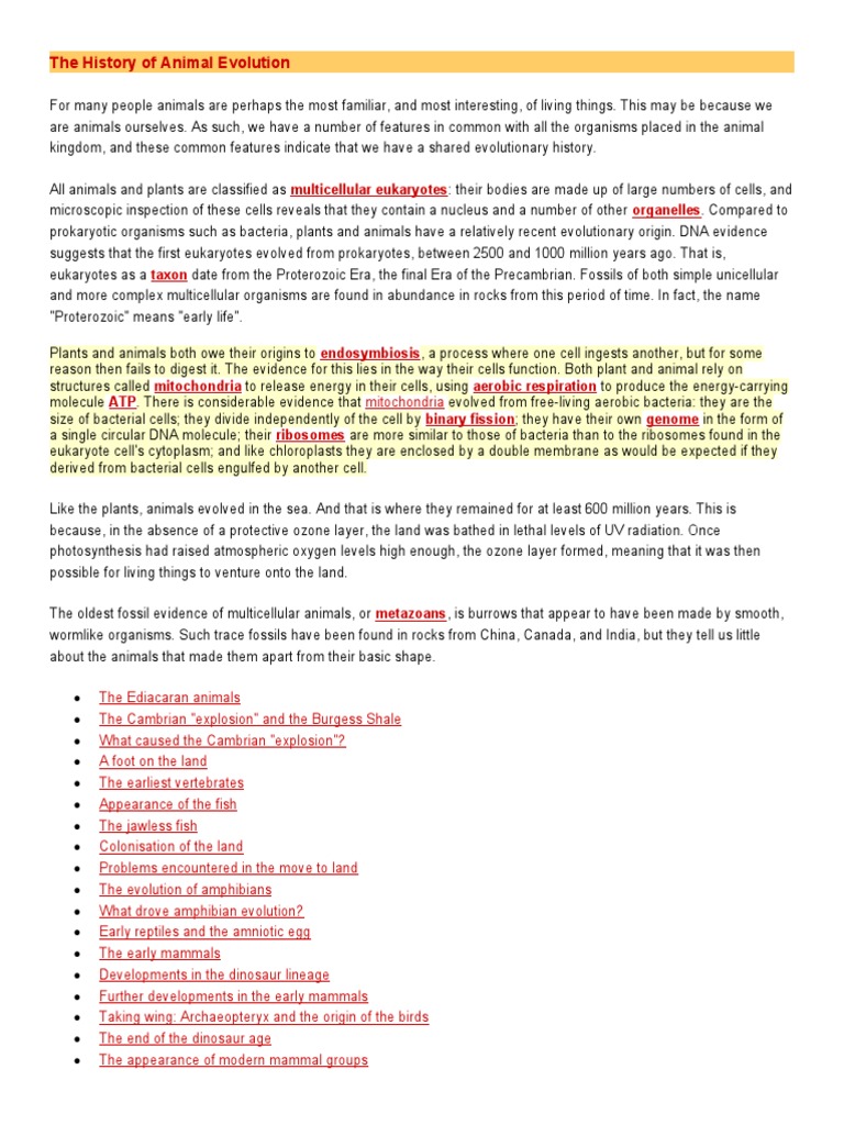 The History of Animal Evolution | PDF | Cell (Biology) | Eukaryotes