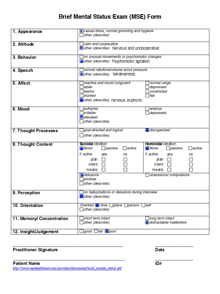 Brief Mental Status Exam (MSE) Form: 1. Appearance 2. Attitude 3 ...