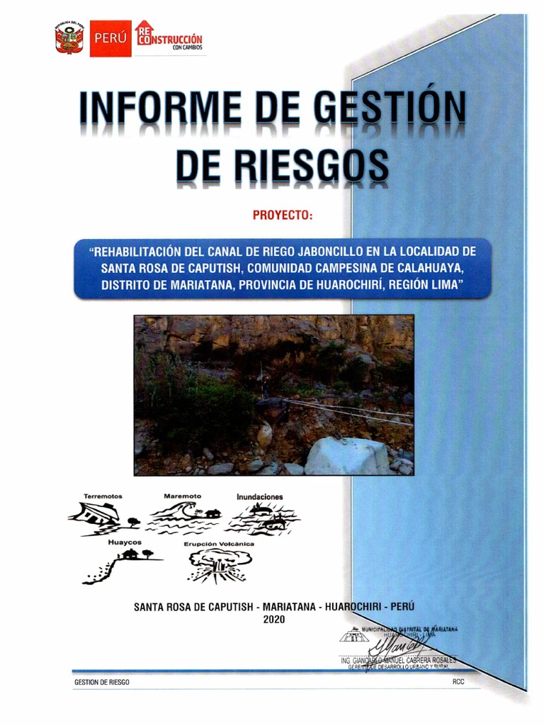5 Informe de Gestion de Riesgo (Modelo) | PDF