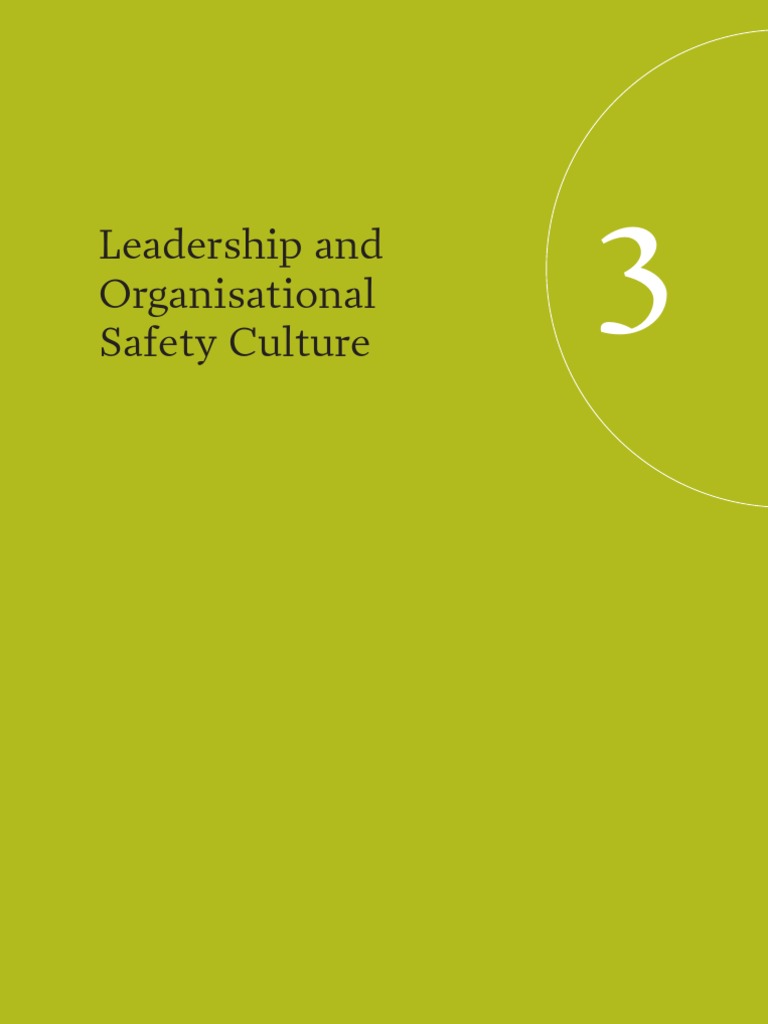 Visible Leadership in Safety Culture | PDF | Leadership | Safety