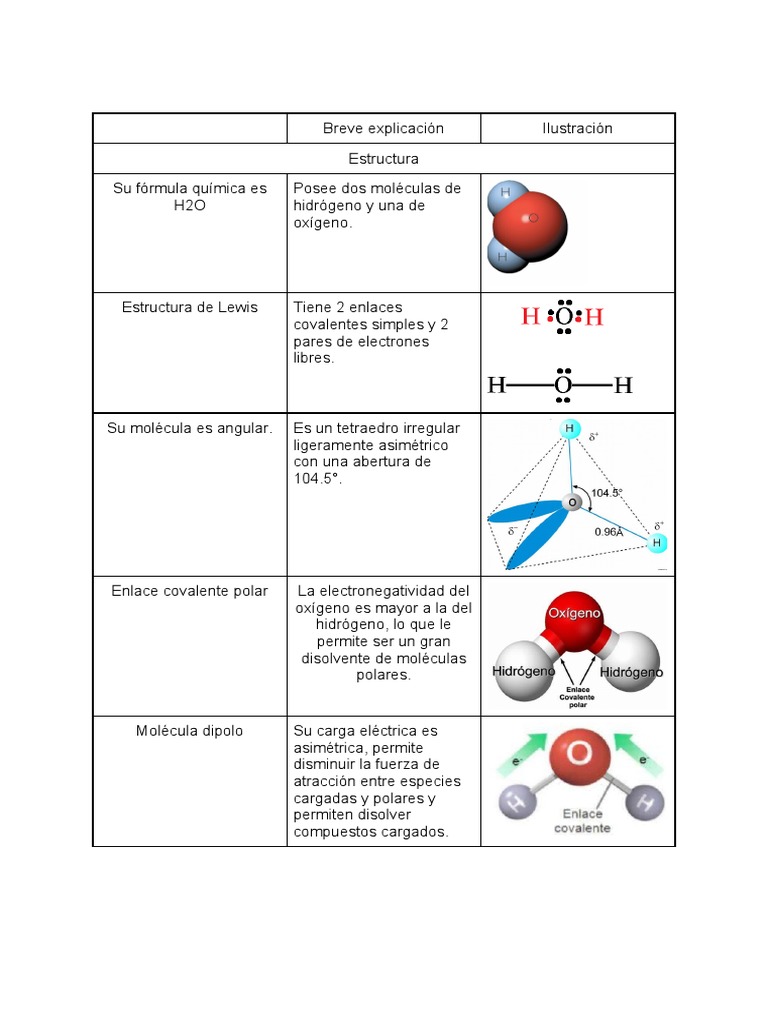 Estructura Del Agua | PDF