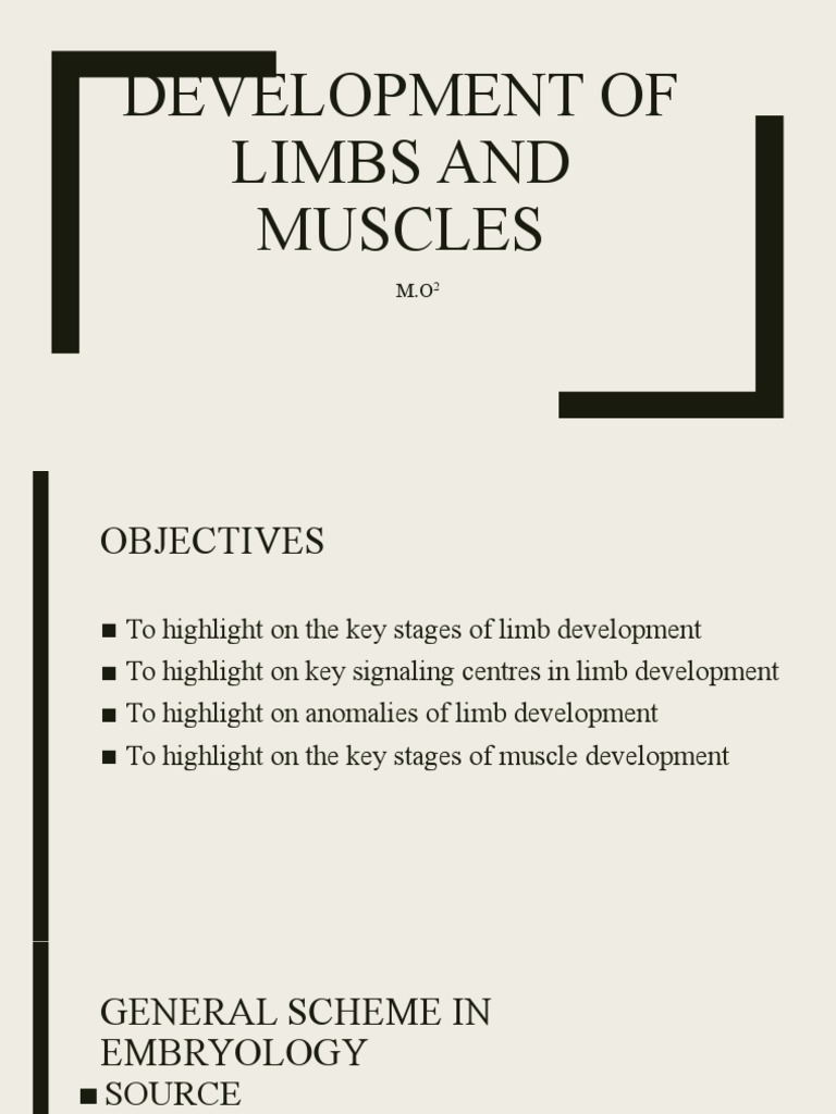 Development of Muscles and Limbs | PDF | Muscle | Skeletal Muscle