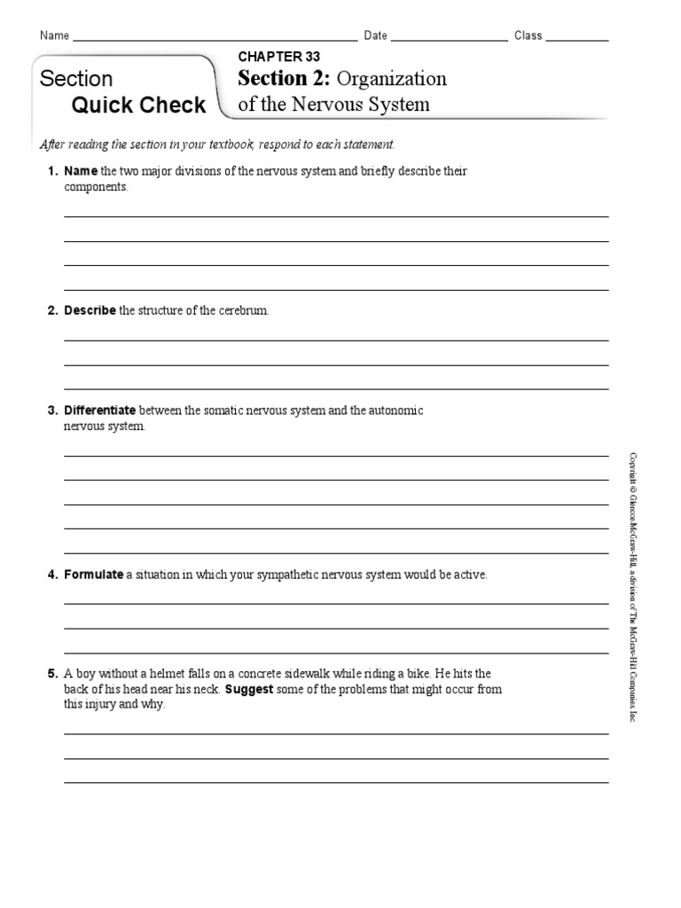Section Quick Check Organization of The Nervous System Editable | PDF