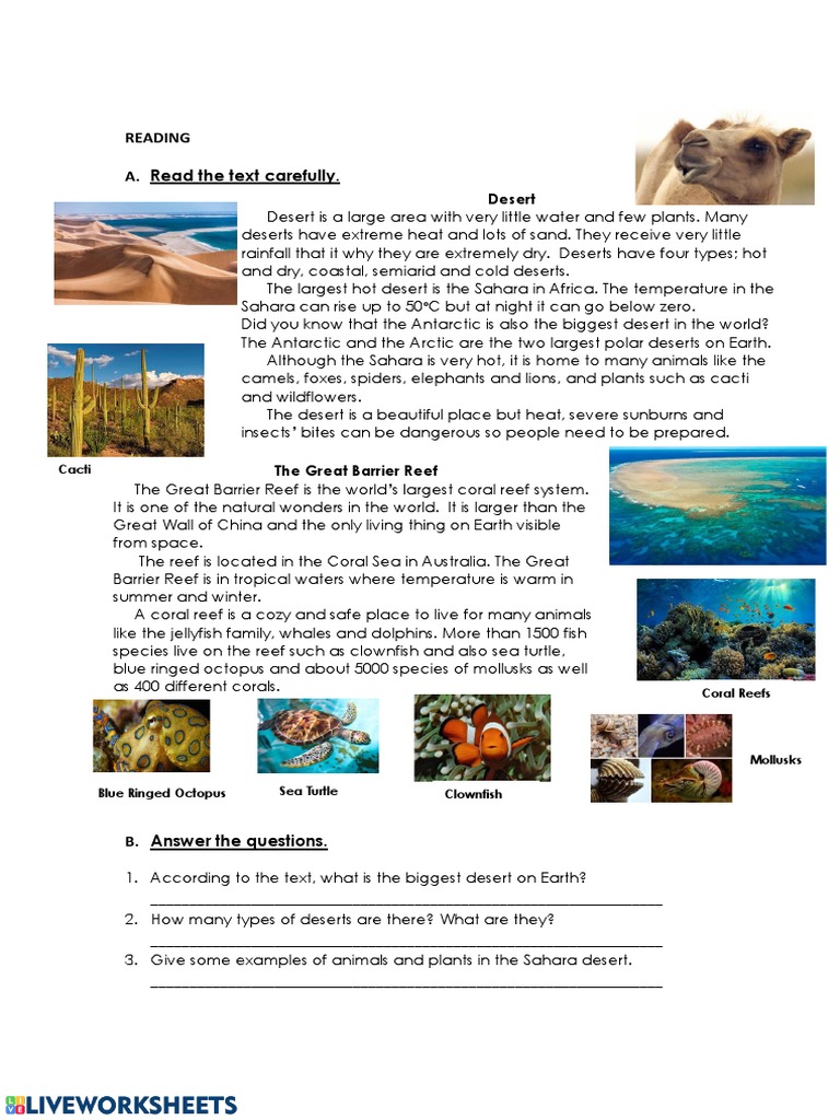 Exercices Comparatives and Superlatives1 - 8vos - Inglés | PDF | Desert ...