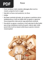 Indi Muskulor Dhe Nervor | PDF