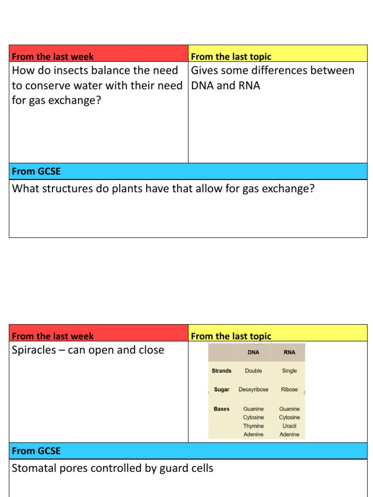 Plant Gas Exchange and Leaf Structure | PDF | Leaf | Stoma