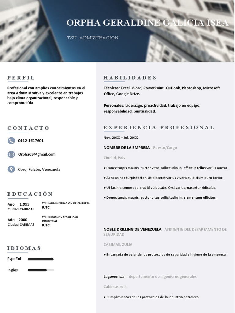 205 Curriculum Vitae Funcional | PDF | Microsoft Windows | Software de edición