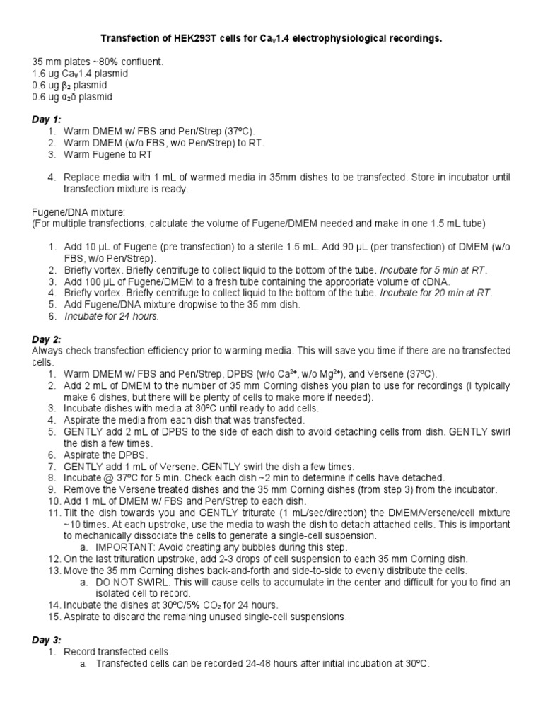 Transfection, Fugene Protocol For Cav1.4 Ephys Recordings | PDF ...