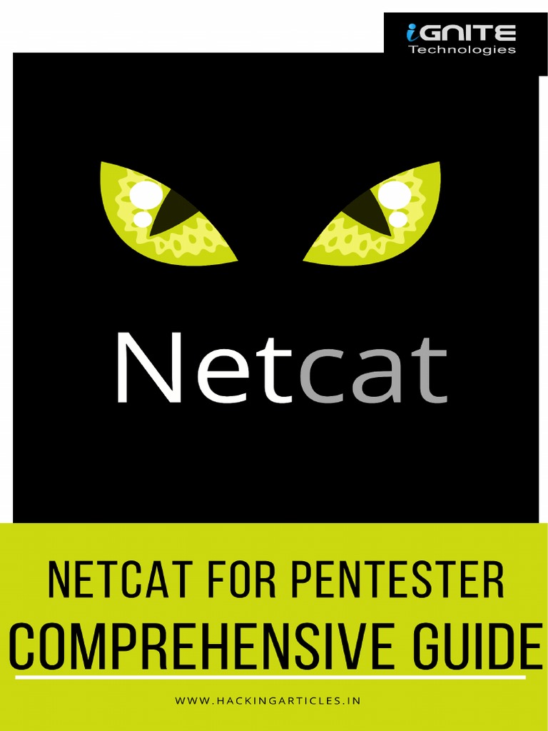 Netcat Pdf Port Computer Networking Computer Networking