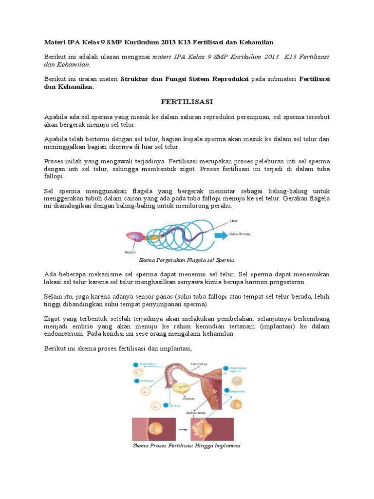 Fertilisasi (Pembuahan) | PDF | Kesehatan Holistik