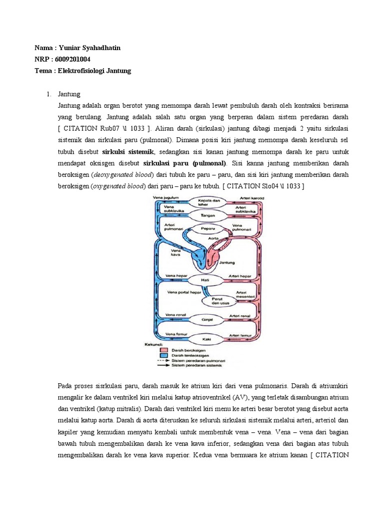 Elektrofisiologi Jantung | PDF