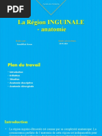 Anatomie de l'Aine et Canal Inguinal | PDF | Péritoine | Vaisseau sanguin