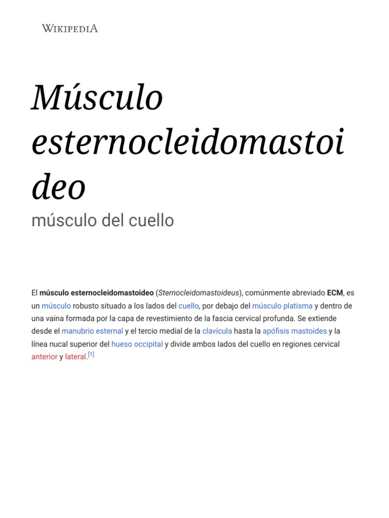 Músculo Esternocleidomastoideo - Wikipedia, La Enciclopedia Libre | PDF ...