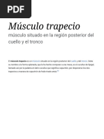 Tanner Femenino y Masculino Pediatría | PDF | Pecho | Características ...