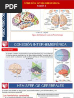 Lobulo de La Insula | PDF | Corteza Insular | Lóbulo temporal