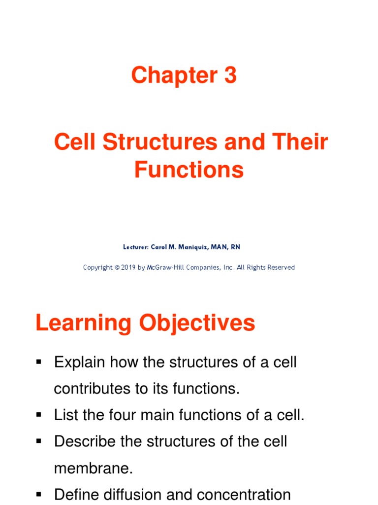 Chapter 3 - Cell Structures and Their Functions | PDF | Mitosis | Cell ...