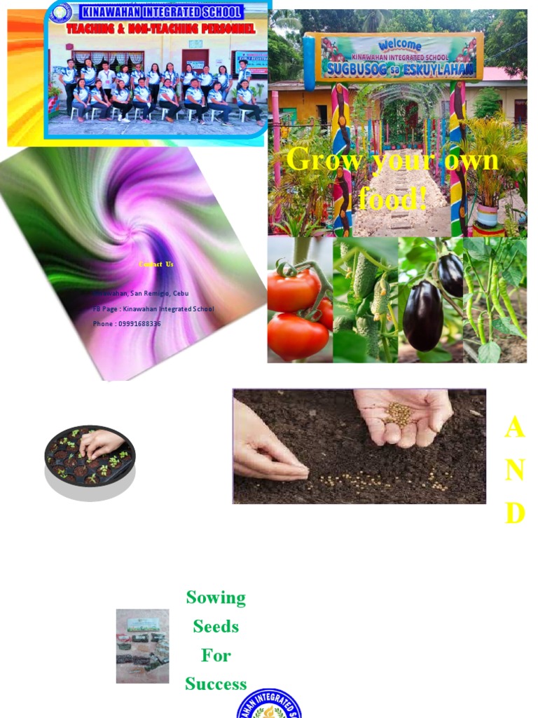 Sugbusog Magazine | PDF | Aquaponics | Dietary Fiber