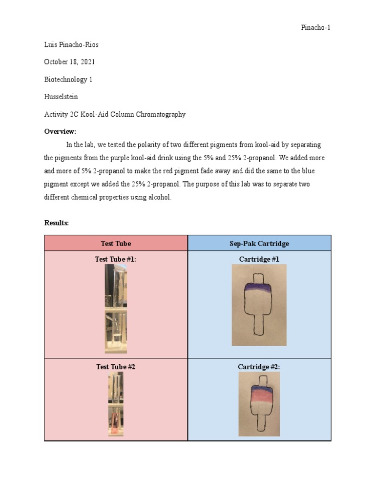 Luis Pinacho-Rios 2c Kool-Aid Column Chromatography | PDF ...