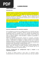 Significado del Debido Proceso | PDF