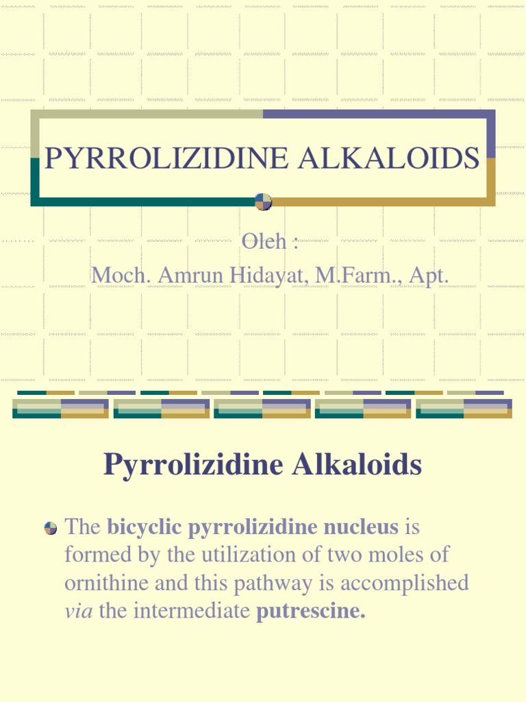 Alkaloid Pirolizidina | PDF