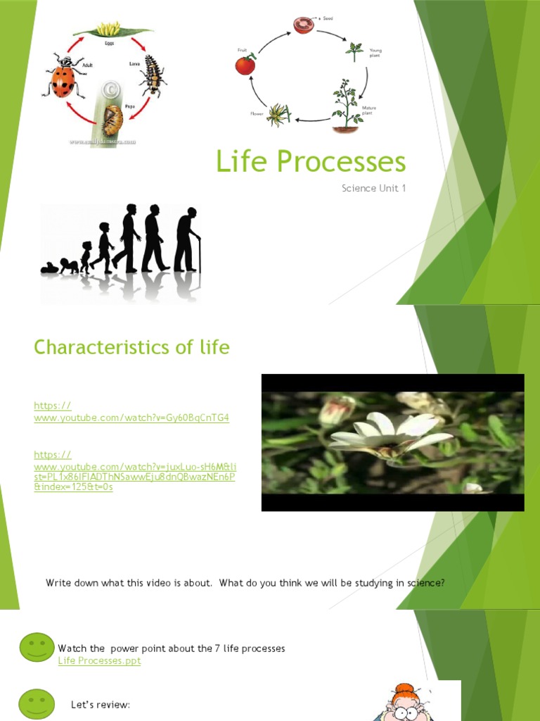 Understanding the 7 Life Processes | PDF