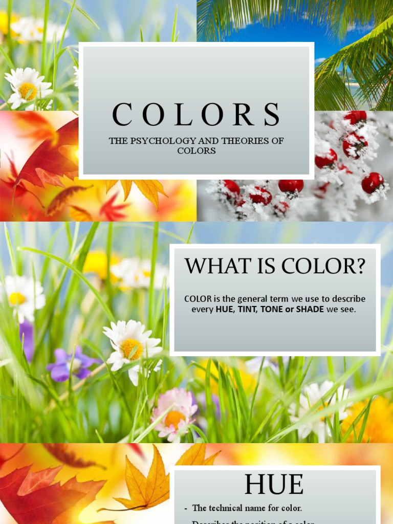 Colors: The Psychology and Theories of Colors | PDF | Color | Hue
