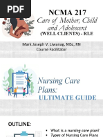 Vet Nursing Ability Model | PDF | Nursing | Patient