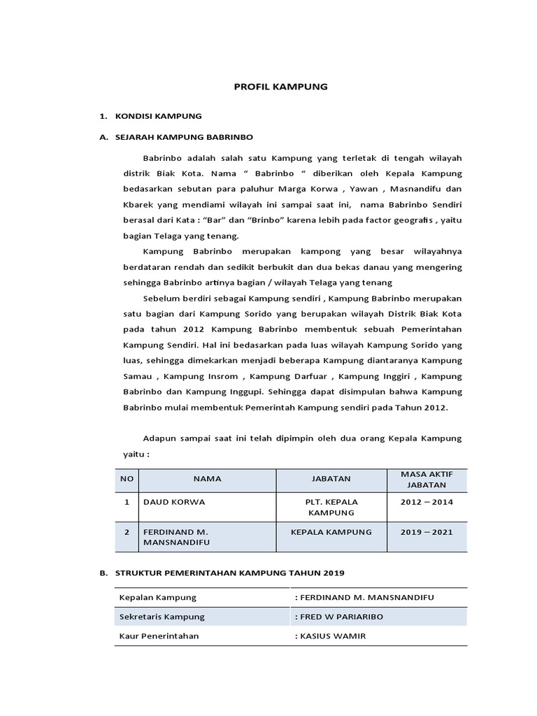 Profil Kampung Babrinbo 2015 | PDF