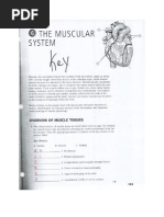 Reproductive System Chapter 16 Key Answer | PDF