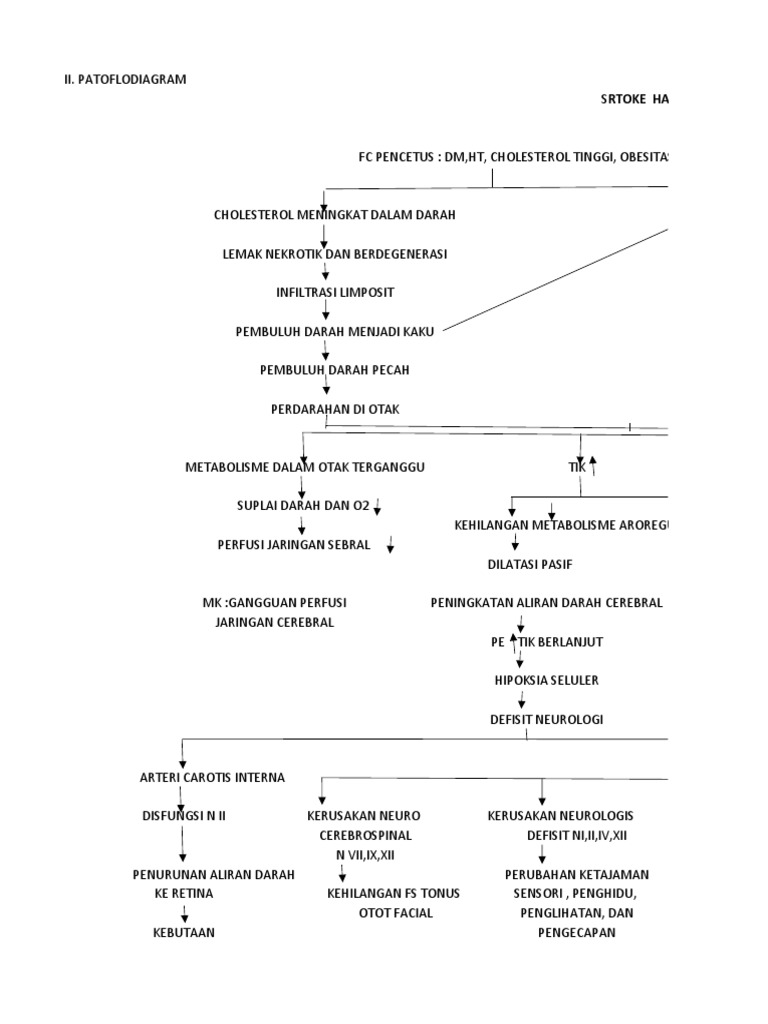 Patoflowdiagram CVDH | PDF