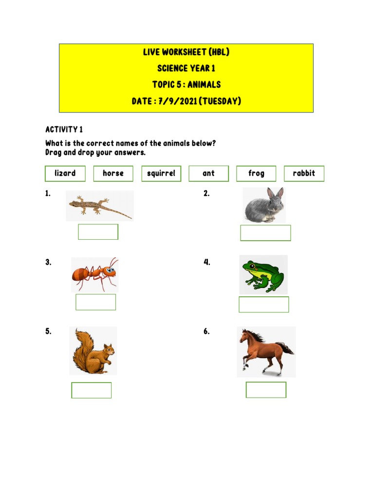 Live Worksheet Animals | PDF