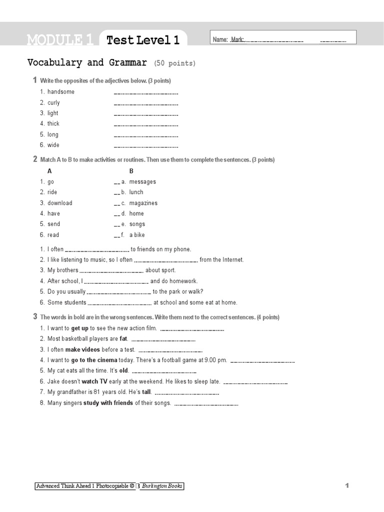 Test Level 1: Vocabulary and Grammar | PDF | Linguistics | Grammar