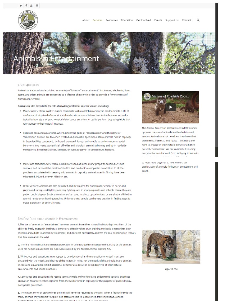 Animals in Entertainment | PDF