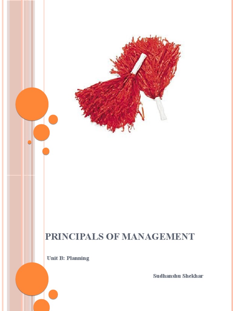 Principals of Management-2 | PDF | Organizational Structure | Economies