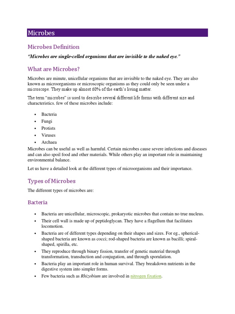 Microbes Features | PDF | Microorganism | Bacteria