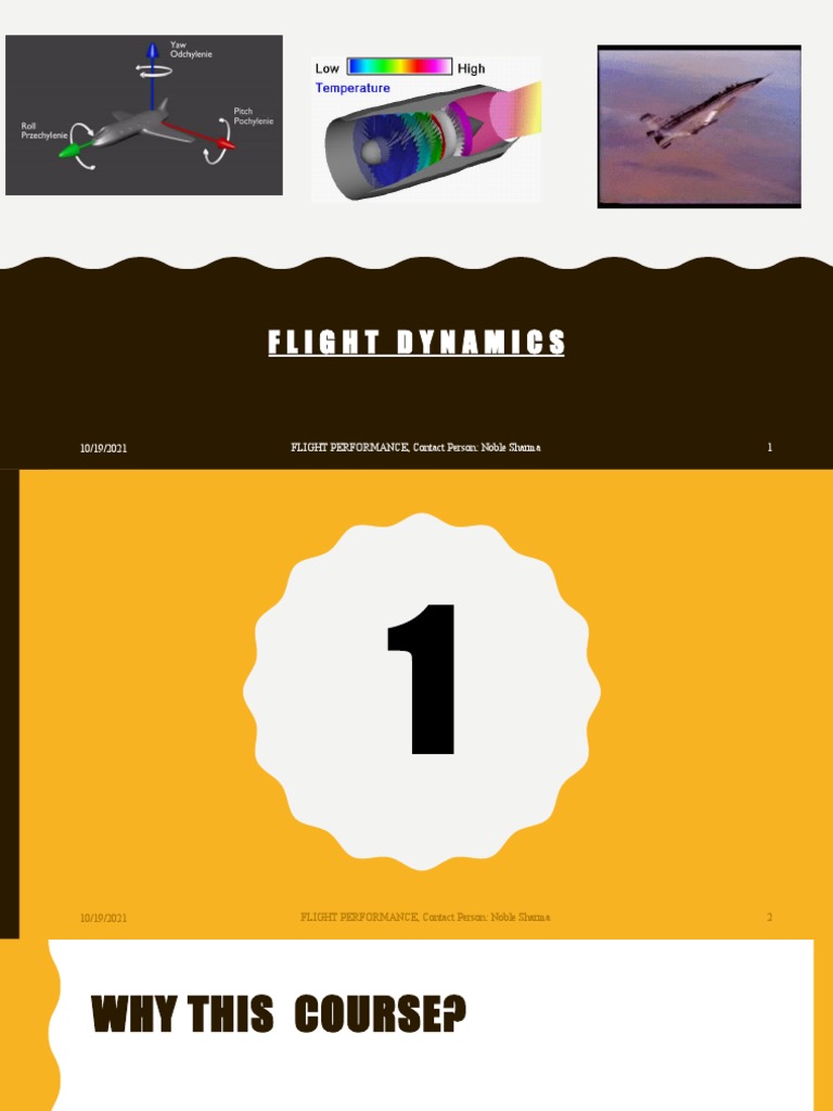 Analysis of Aircraft Flight Dynamics and Performance | PDF | Flight ...