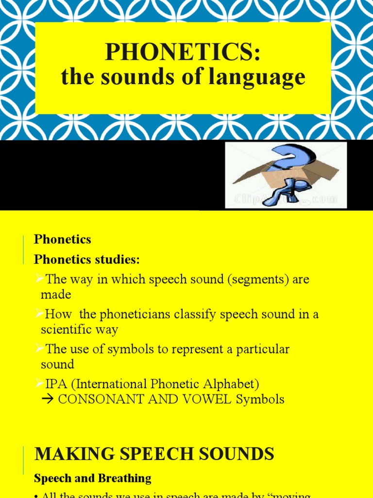 Phonetics: The Sounds of Language | PDF | Phonetics | Speech