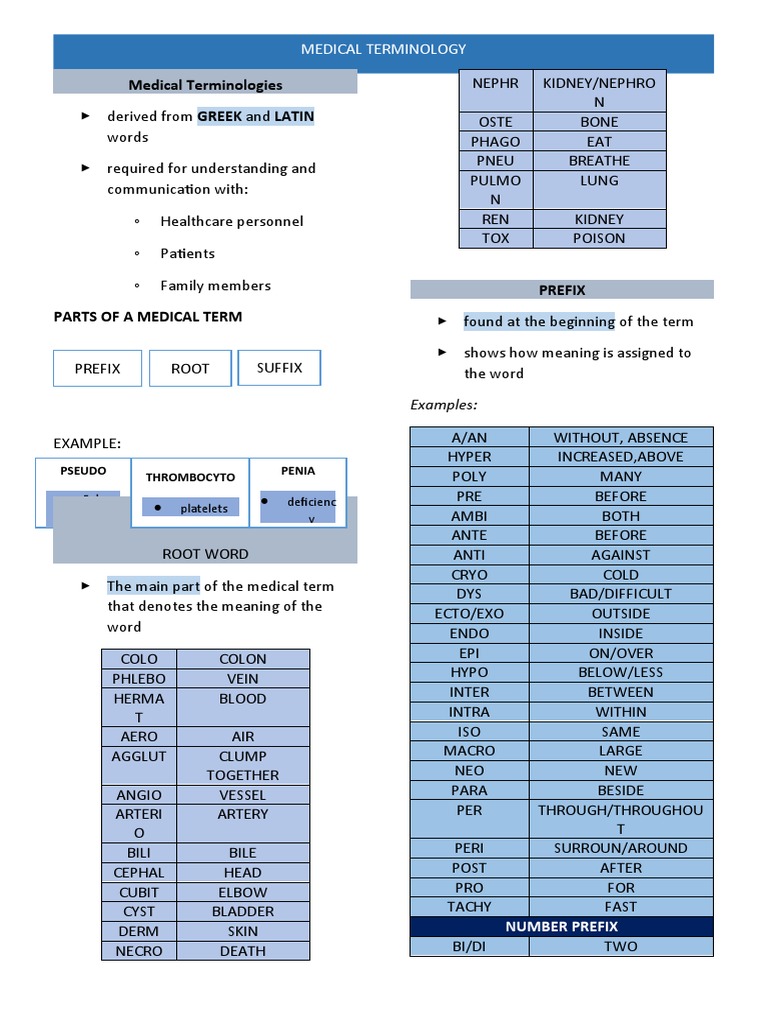 Medical Terminology | PDF | Clinical Medicine | Medicine