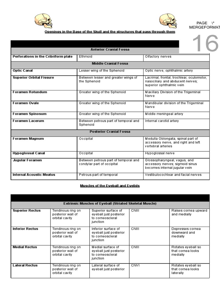 Ana Bible | PDF | Thumb | Finger