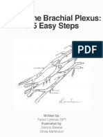 How To Draw The Brachial Plexus | PDF | Human Anatomy | Neuroanatomy
