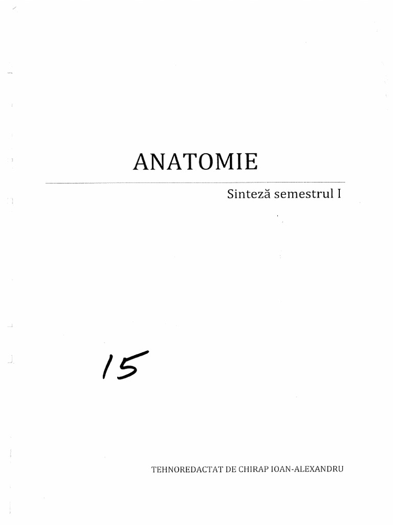 Anatomie Sinteza | PDF