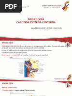 Arterias Faríngea y Occipital | PDF | Artería | Sistema cardiovascular
