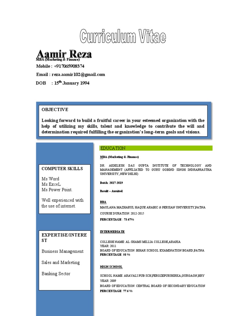 Curriculum Vitae (Aamir Reza) Mba | PDF