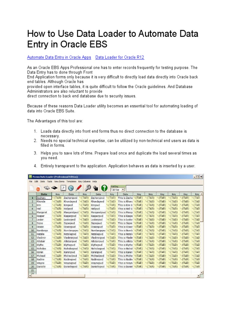 How To Use Data Loader To Automate Data Entry In Oracle Ebs Pdf Microsoft Excel Computer