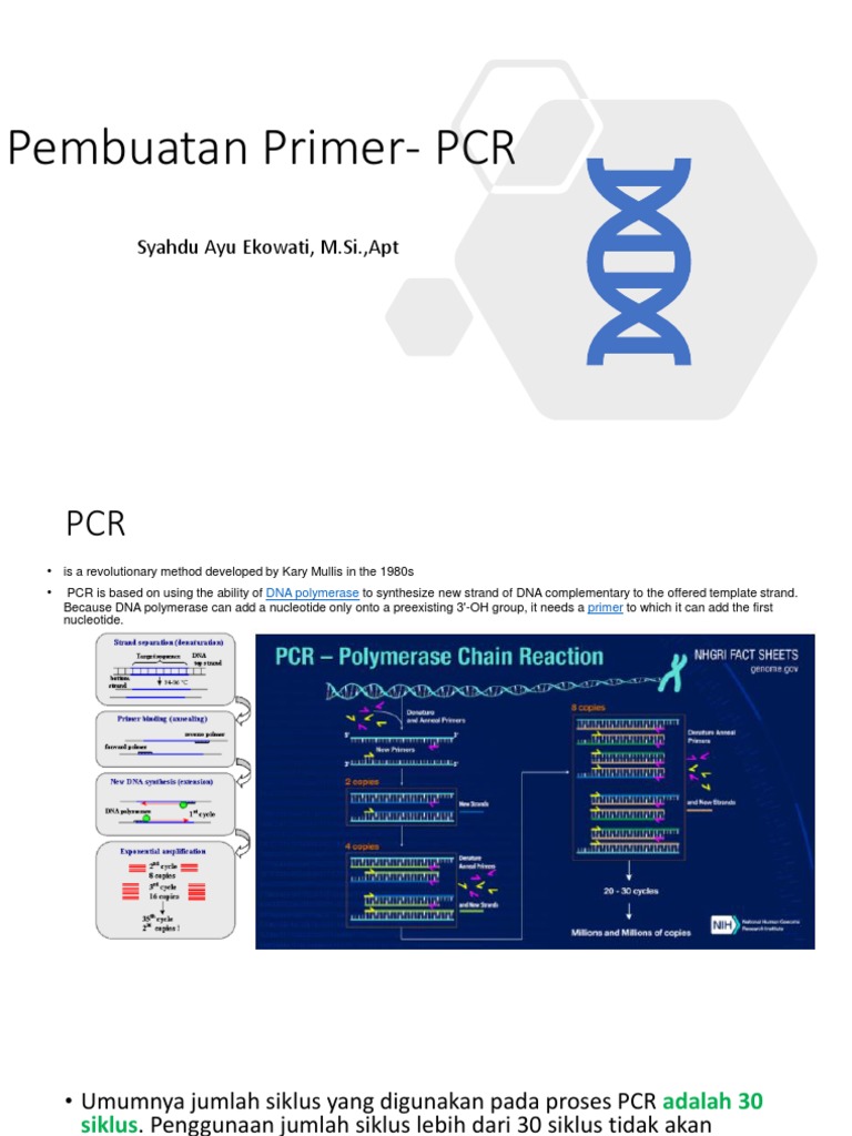 Pembuatan Primer | PDF