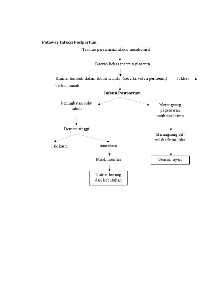 Pathway Infeksi Puerpureum1 | PDF