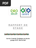 Organigramme Et Filiales de OCP | PDF