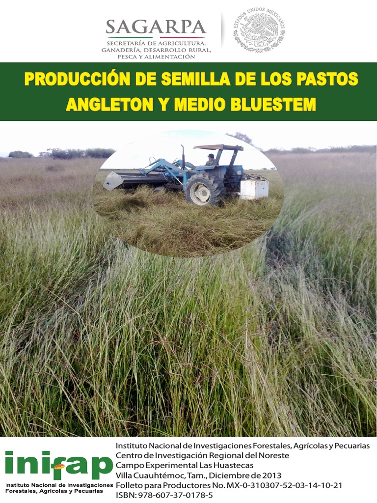 Pasto Ángleton | PDF | Siembra | Fertilizante